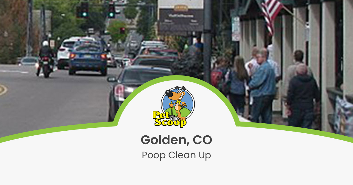 Golden Poop Scoop Services - Pet Scoop